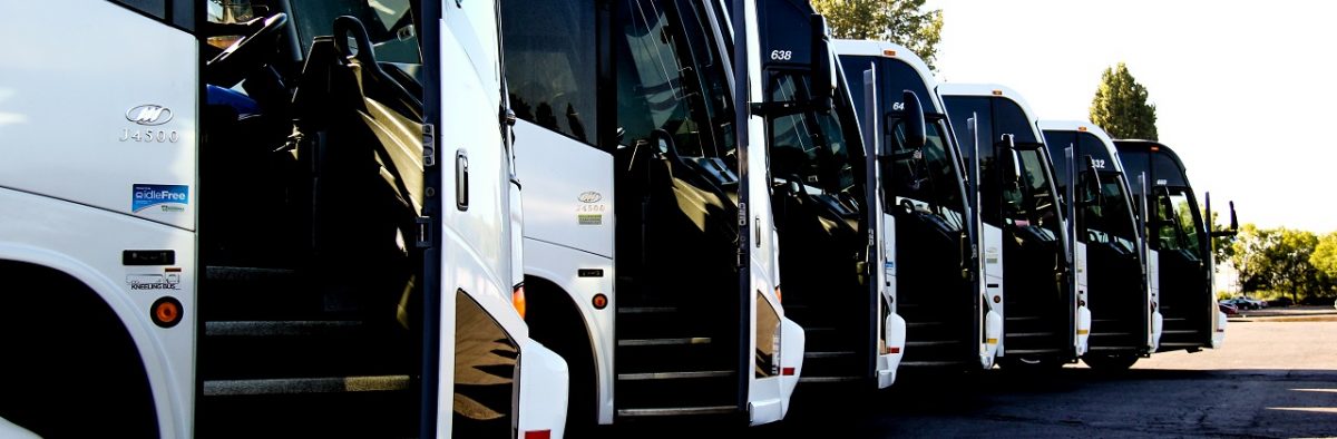 Starline Luxury Coaches - Starline Collection